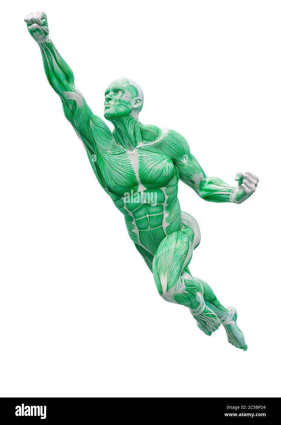 muscleman anatomy heroic body is flying up in white background, 3d ...