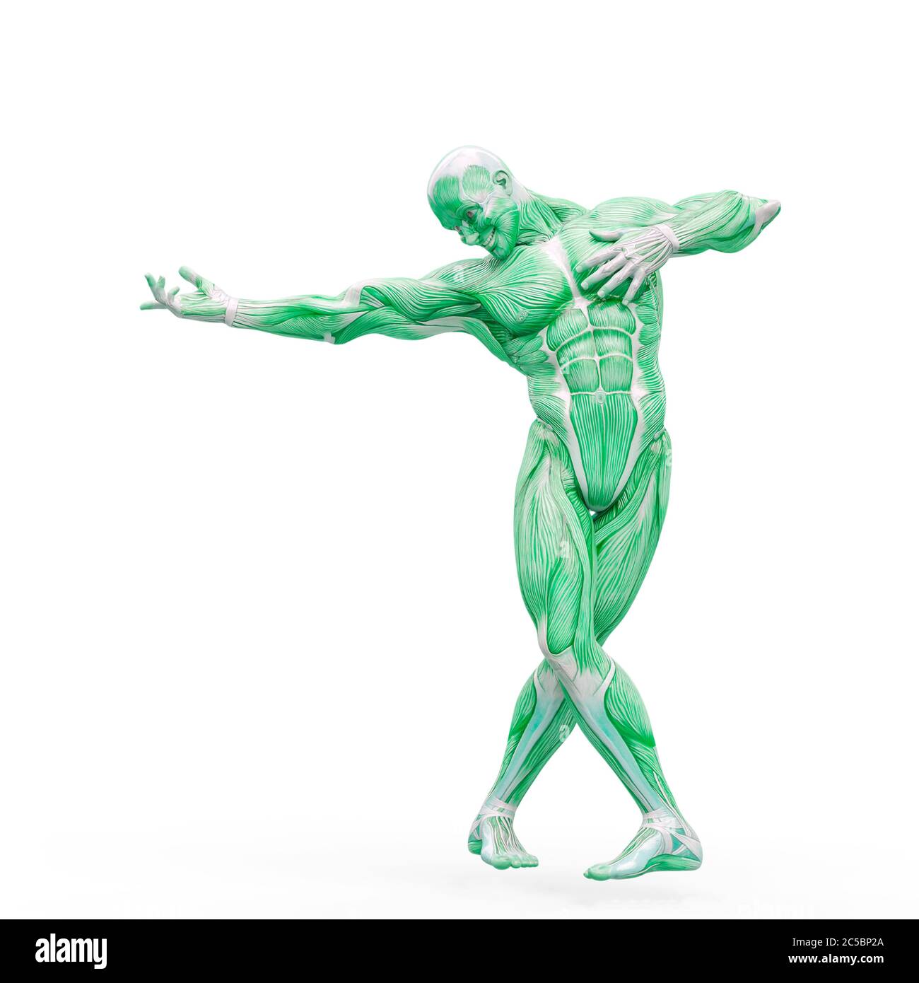 muscleman anatomy heroic body dancing pose one in white background ...