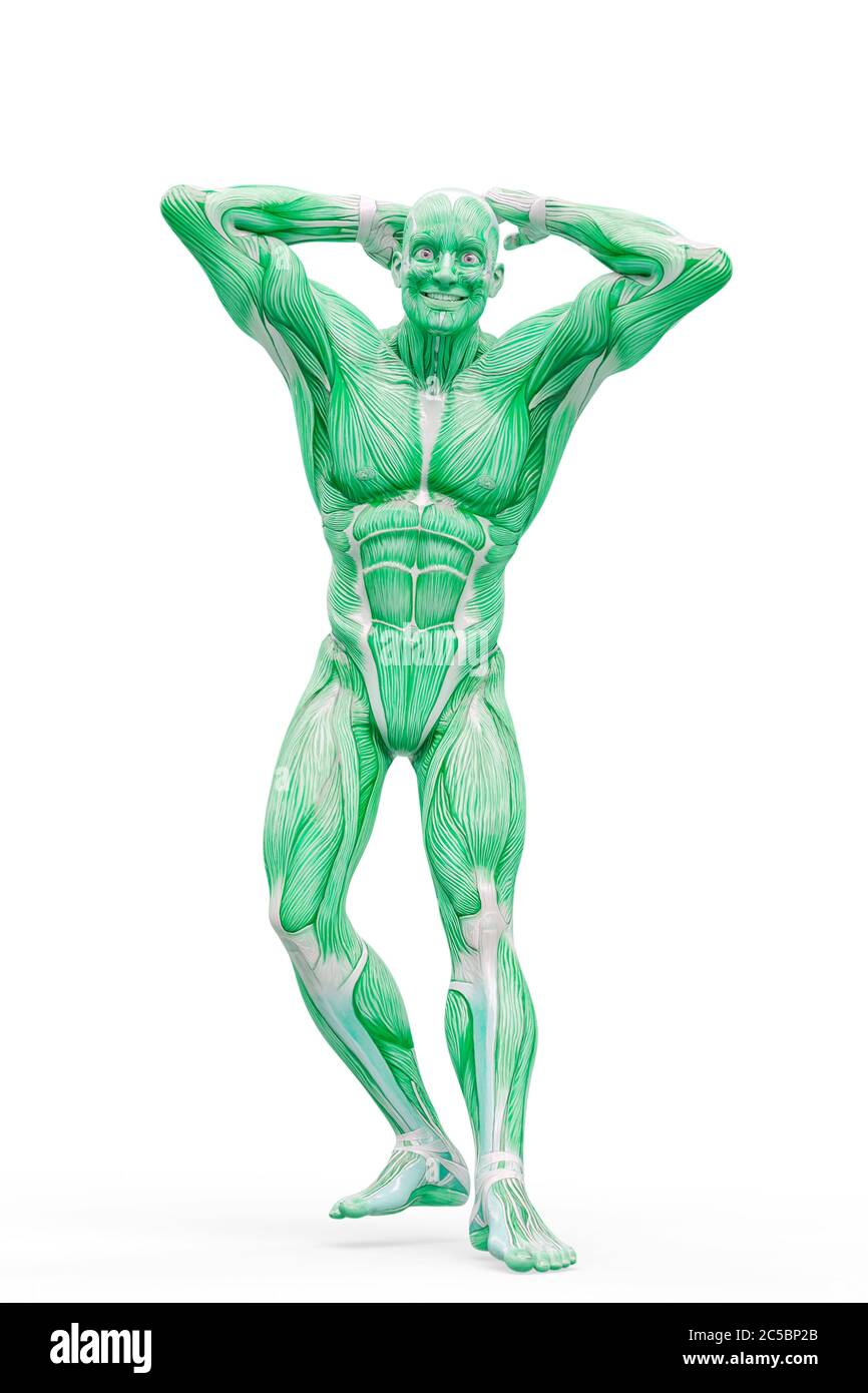 muscleman anatomy heroic body doing a bodybuilder pose ten in white ...