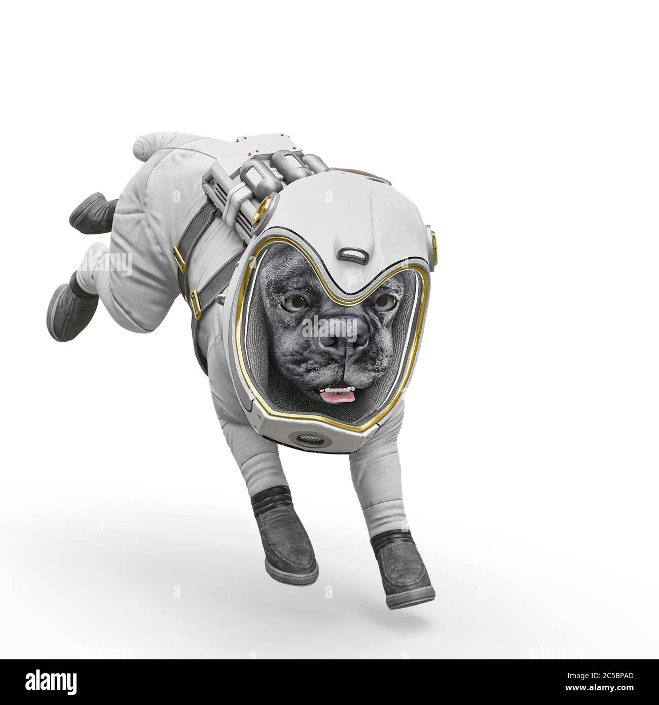 Futuristic Space Suits In Dogs