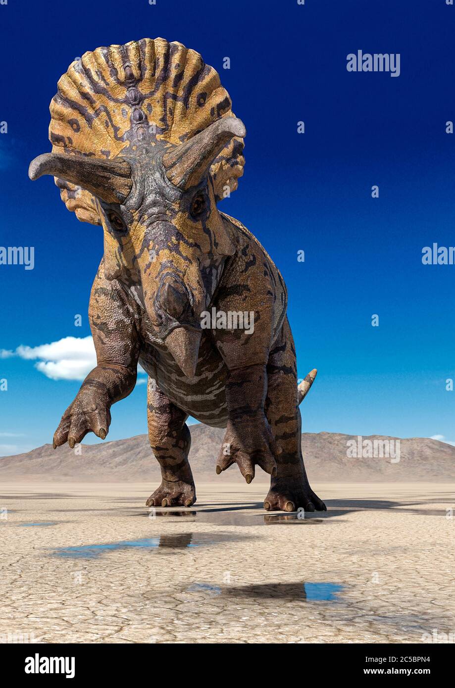 Herbivore ceratopsian dinosaurs hi-res stock photography and images - Alamy