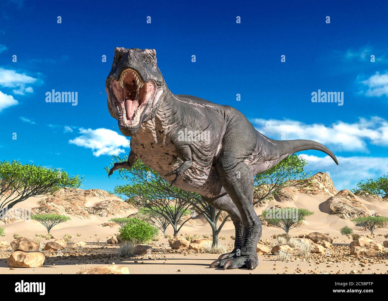 Side view tyrannosaurus rex dinosaur hi-res stock photography and ...