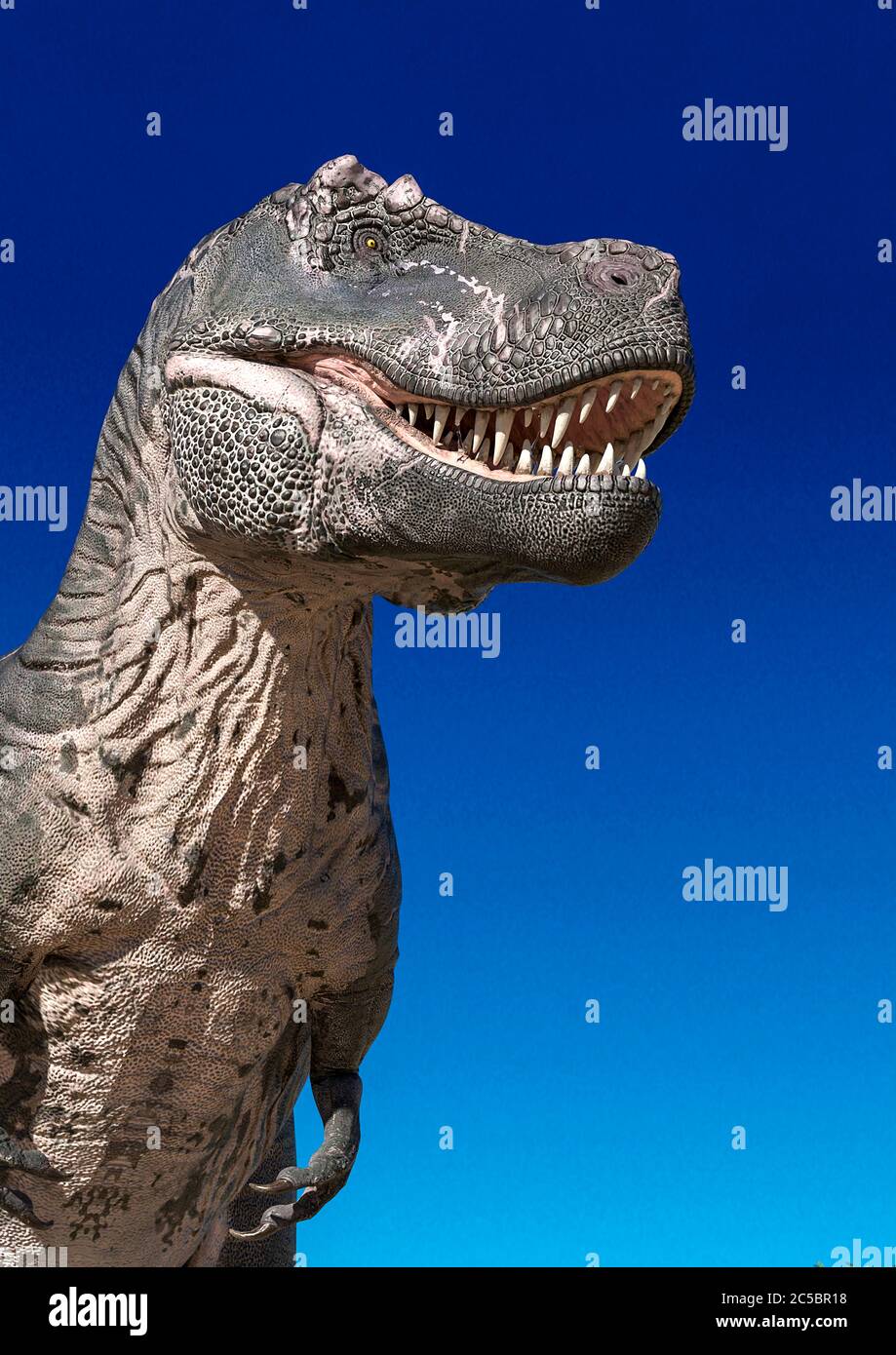 tyrannosaurus standing up alone on desert close up, 3d illustration ...