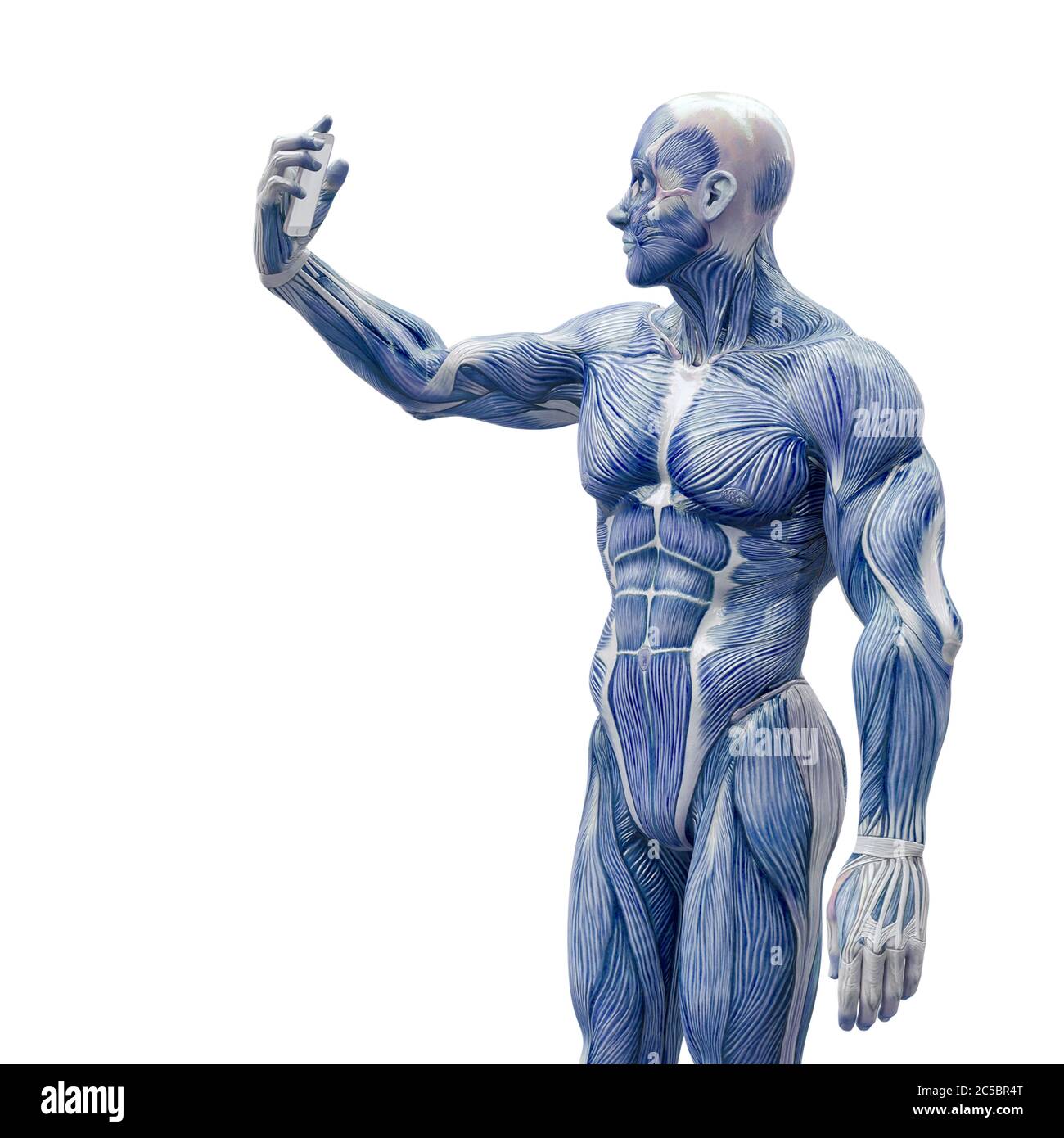 muscleman anatomy heroic body taking a selfie pose two in white ...
