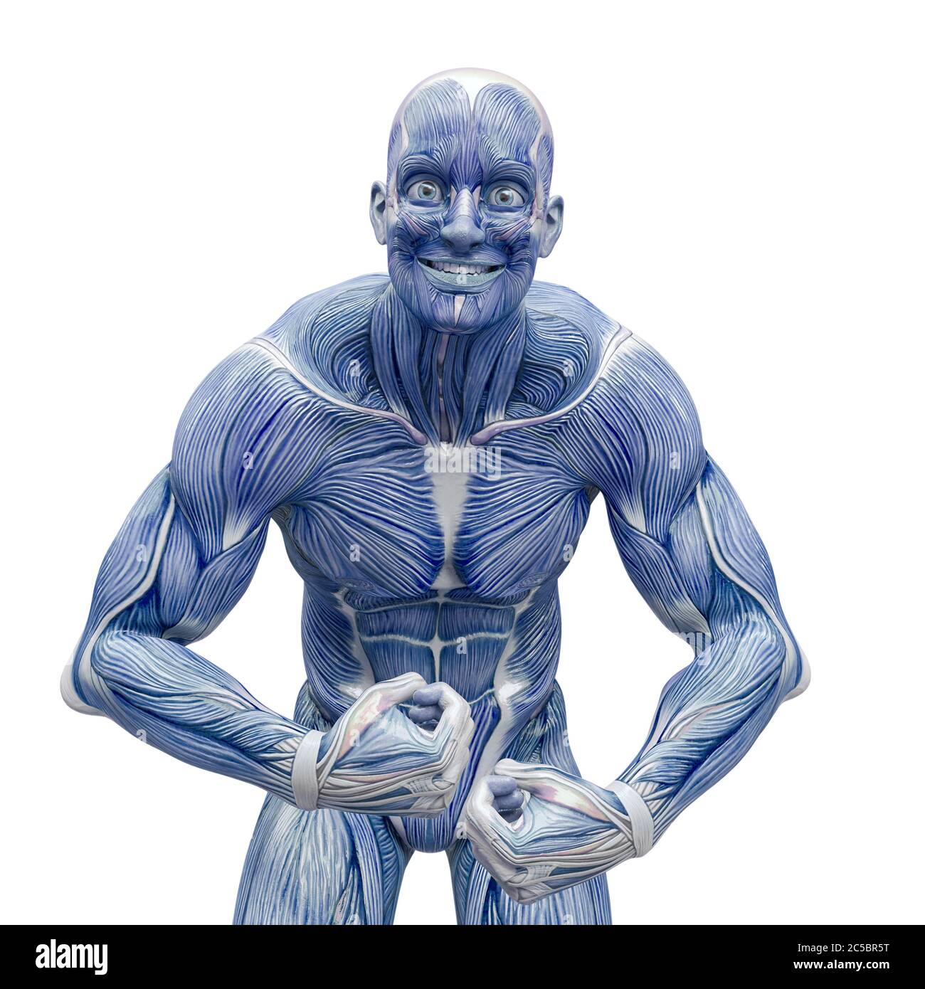 muscleman anatomy heroic body doing a bodybuilder pose three in white ...