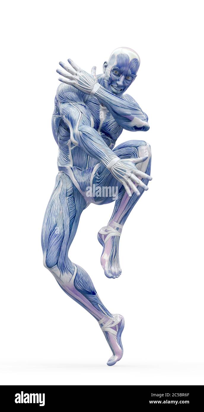 muscleman anatomy heroic body dancing pose three in white background ...
