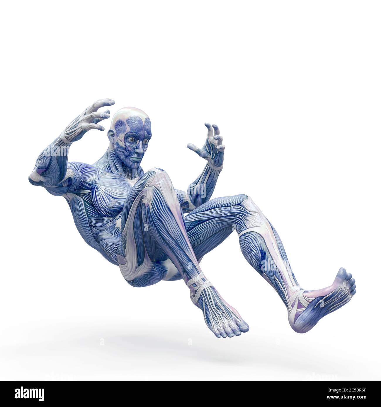 Falling Pose Drawing