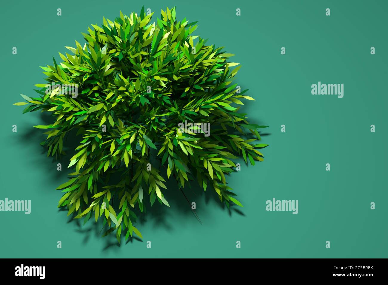3D illustration a big green deciduous tree with a shadow on a green ...