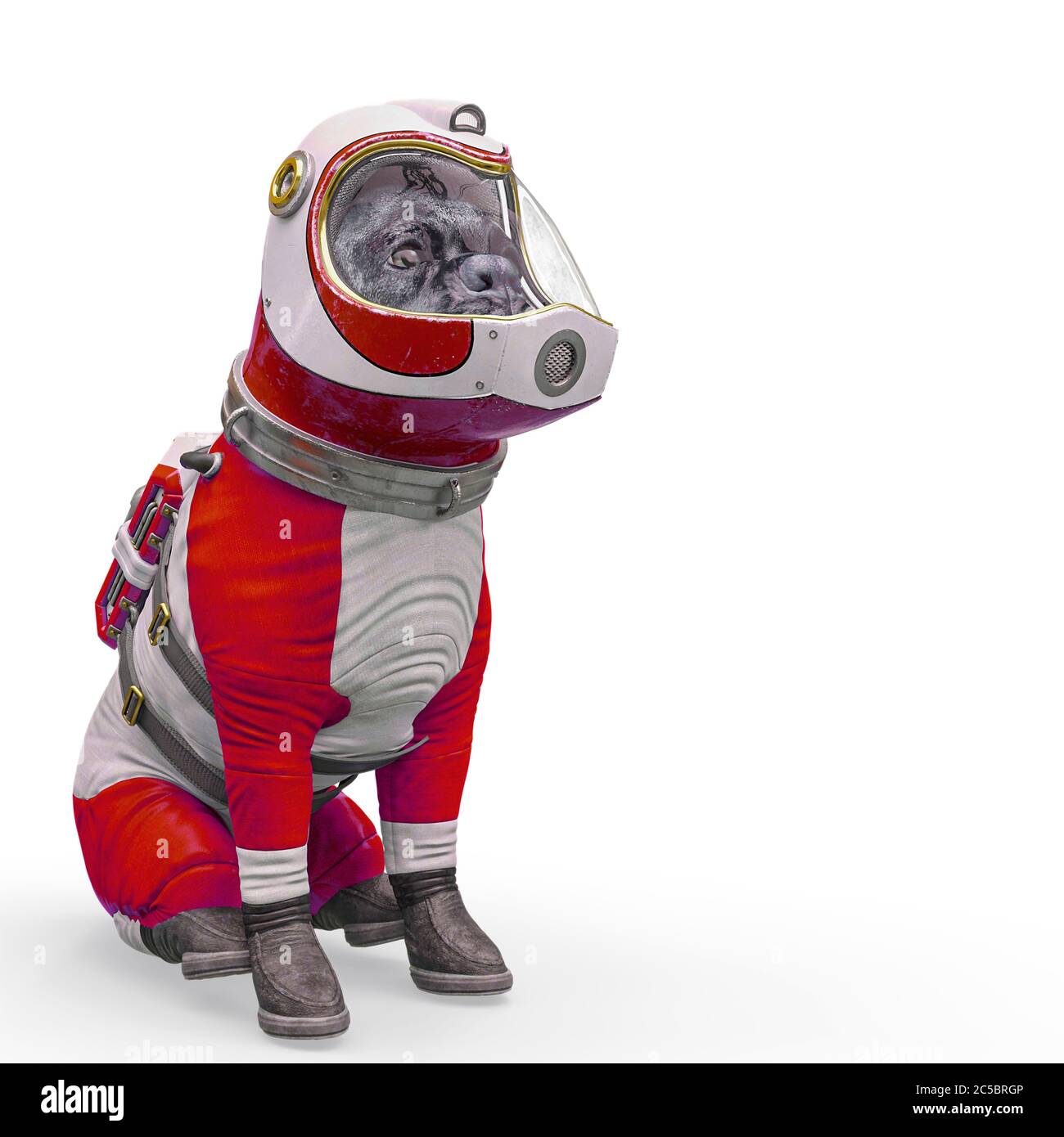 dog the astronaut sitting with a space copy in white background, 3d ...