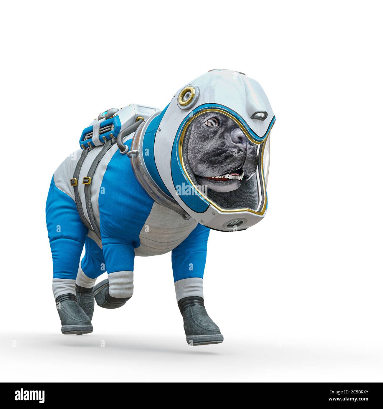 dog the astronaut floating and walking in white background, 3d ...