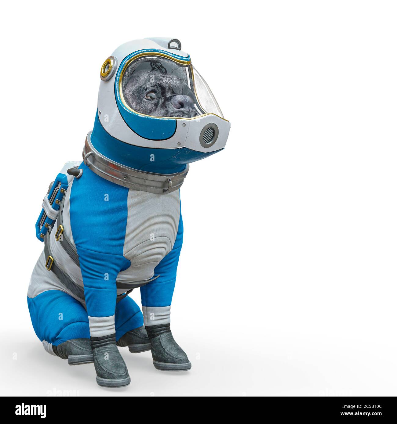 dog the astronaut sitting with a space copy in white background, 3d ...