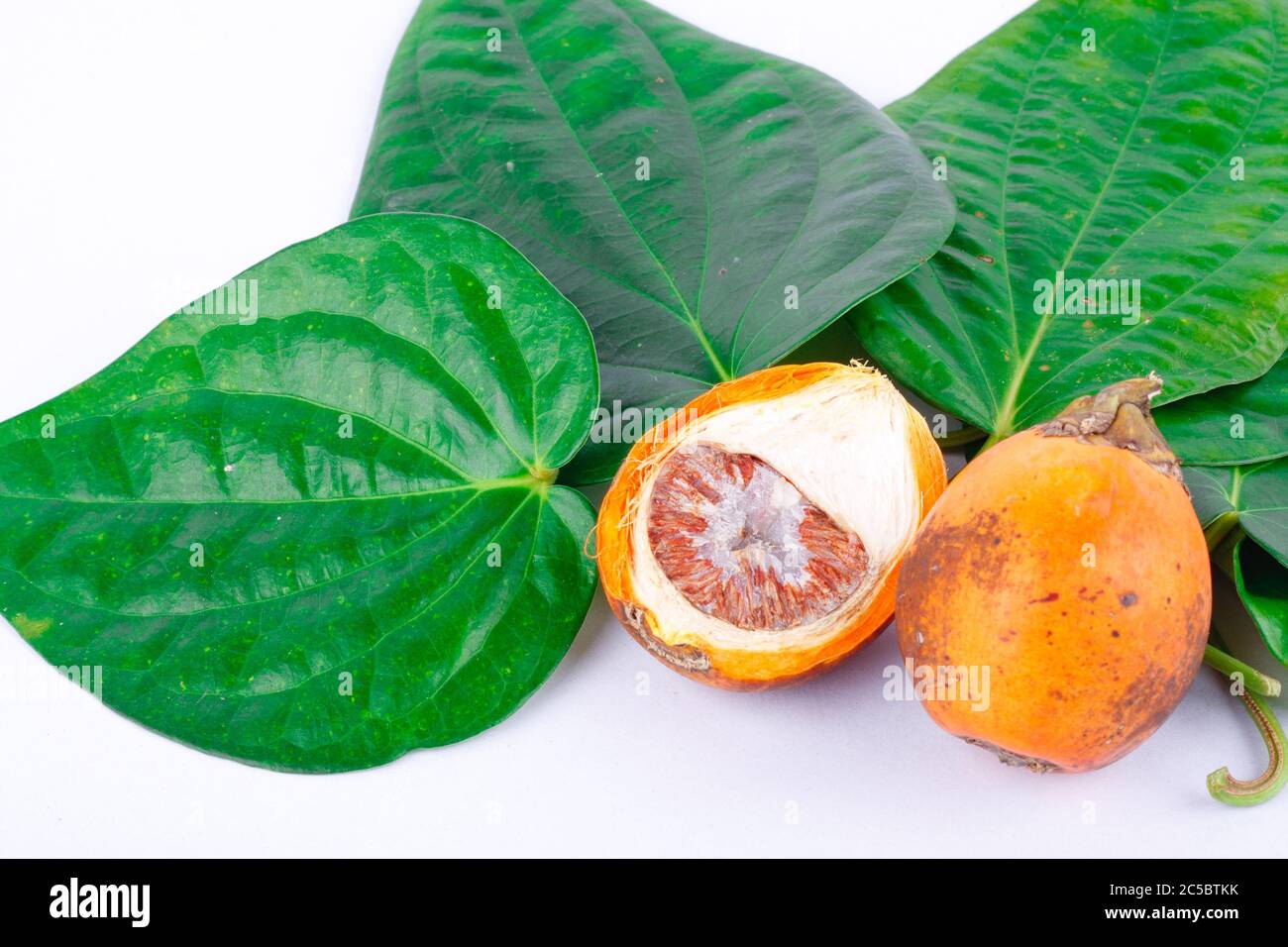 Indian betelnut hi-res stock photography and images - Alamy