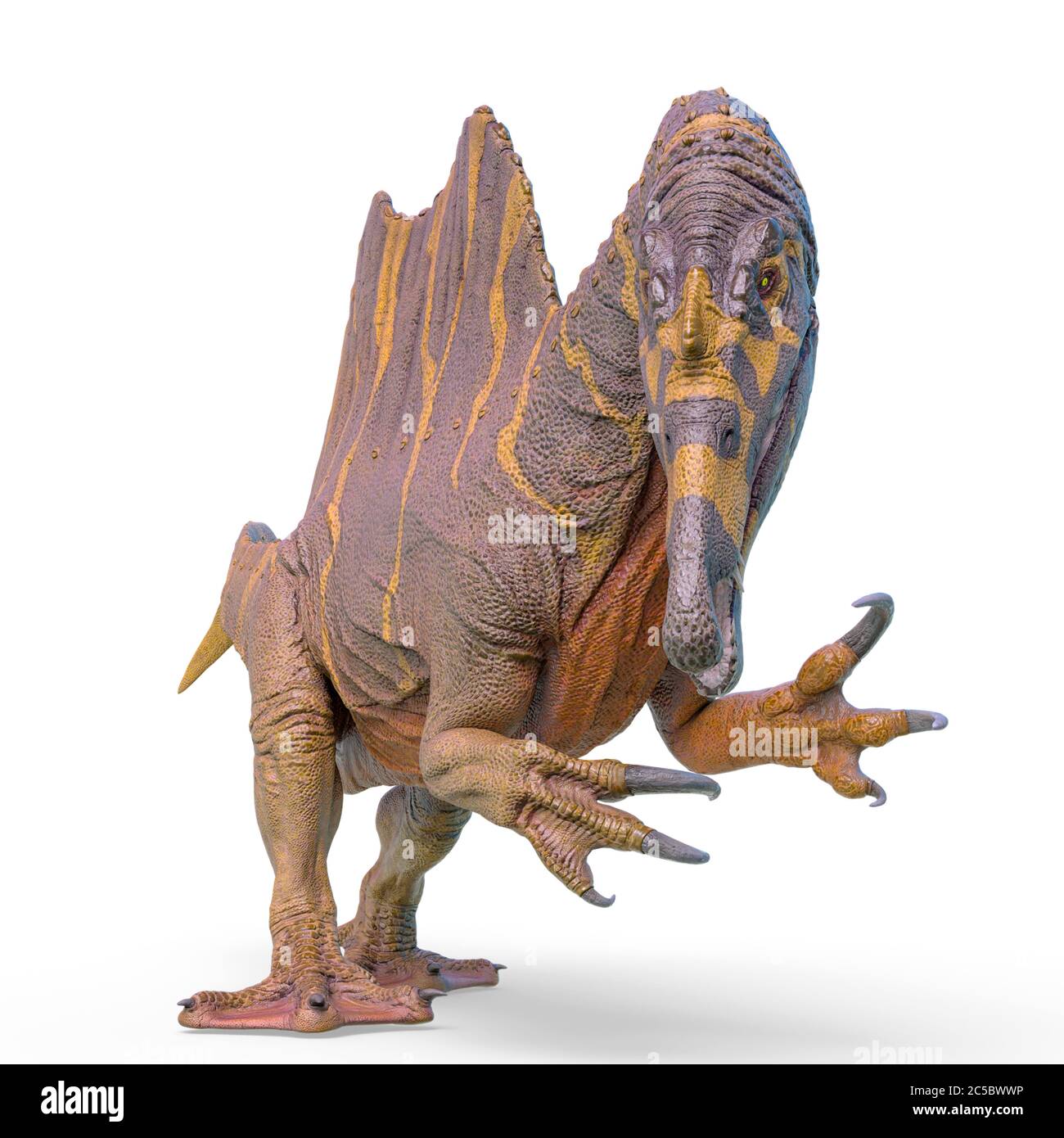 spinosaurus front view in white background, 3d illustration Stock Photo ...
