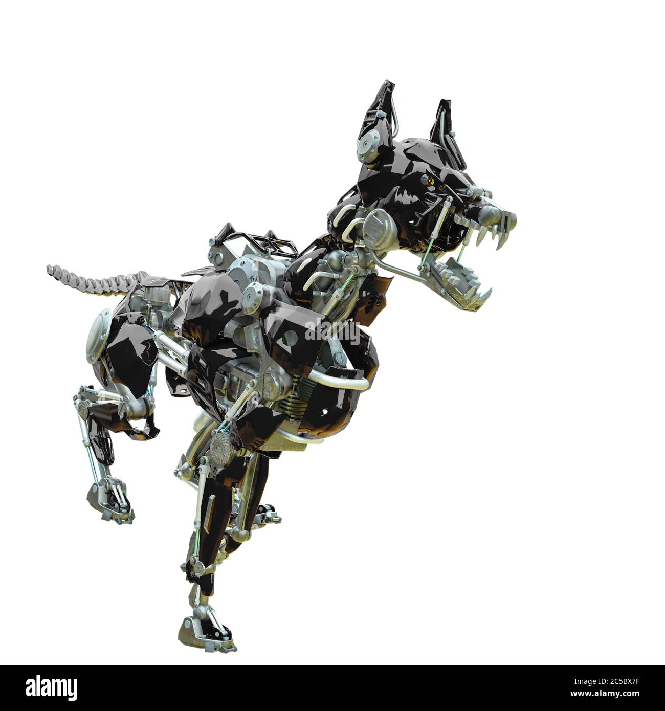 Dog running machine hi-res stock photography and images - Alamy