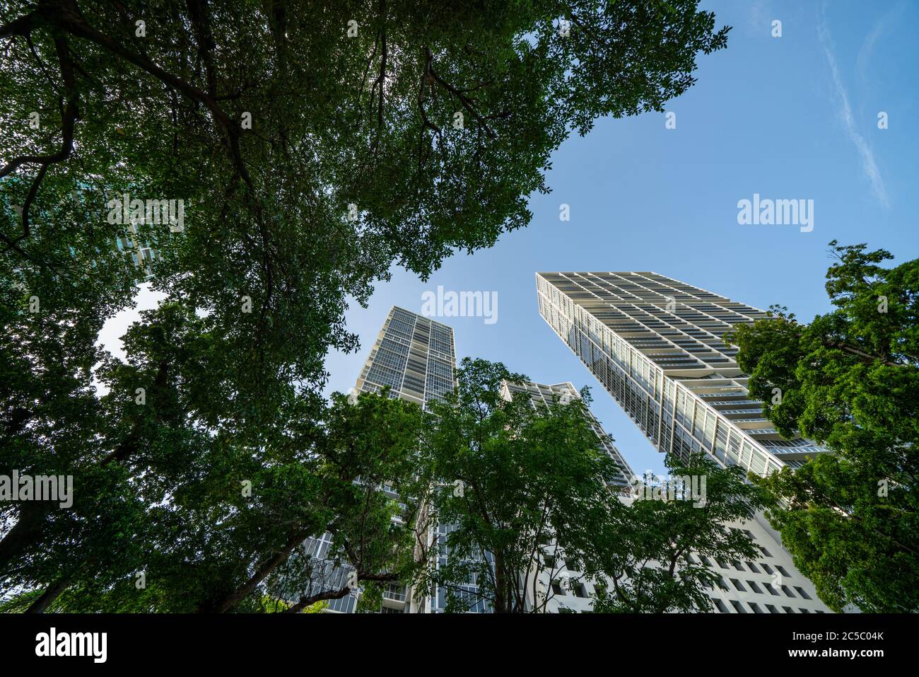 Highrise architecture between trees Stock Photo - Alamy