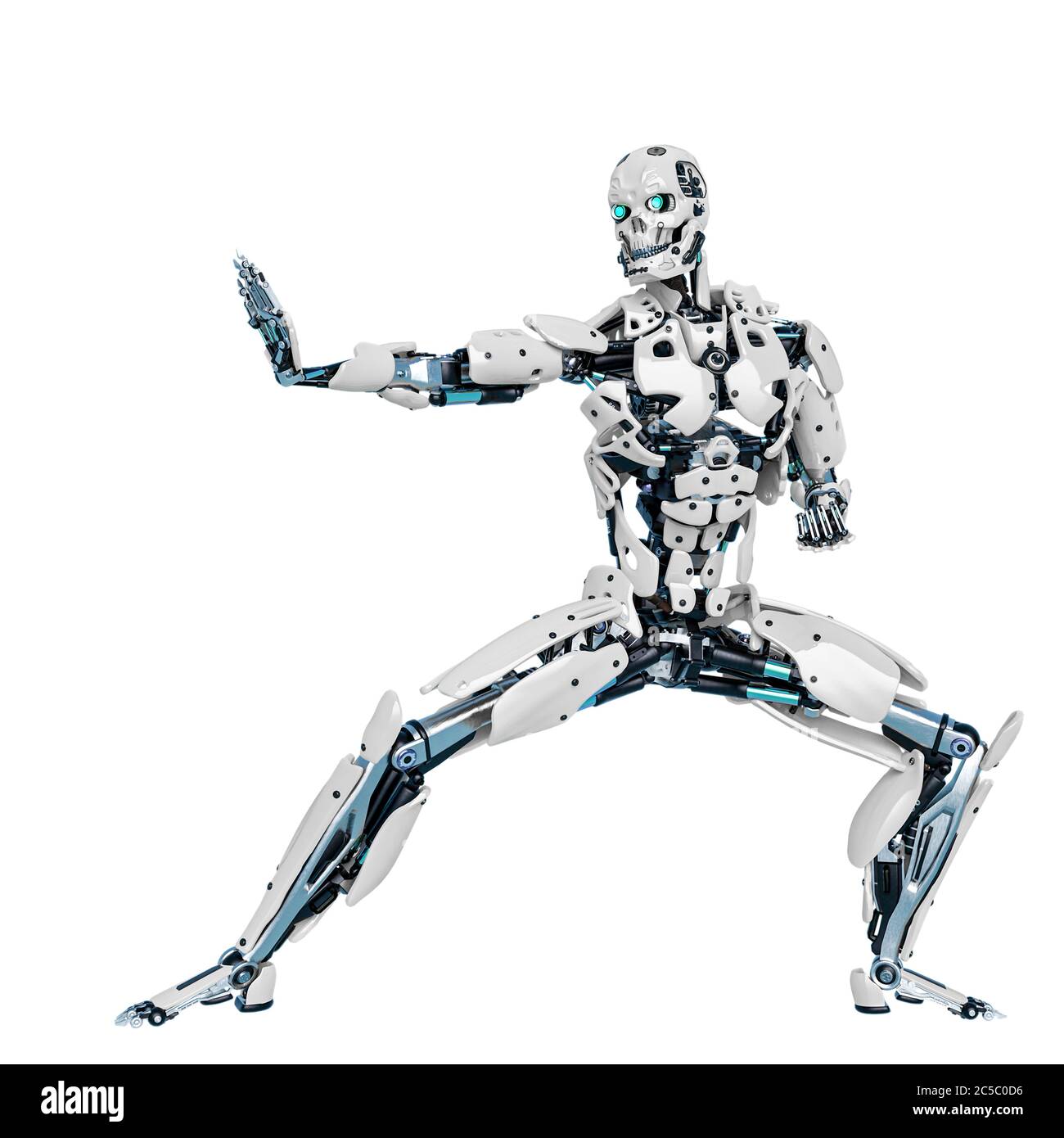 android karate pose, 3d illustration Stock Photo - Alamy
