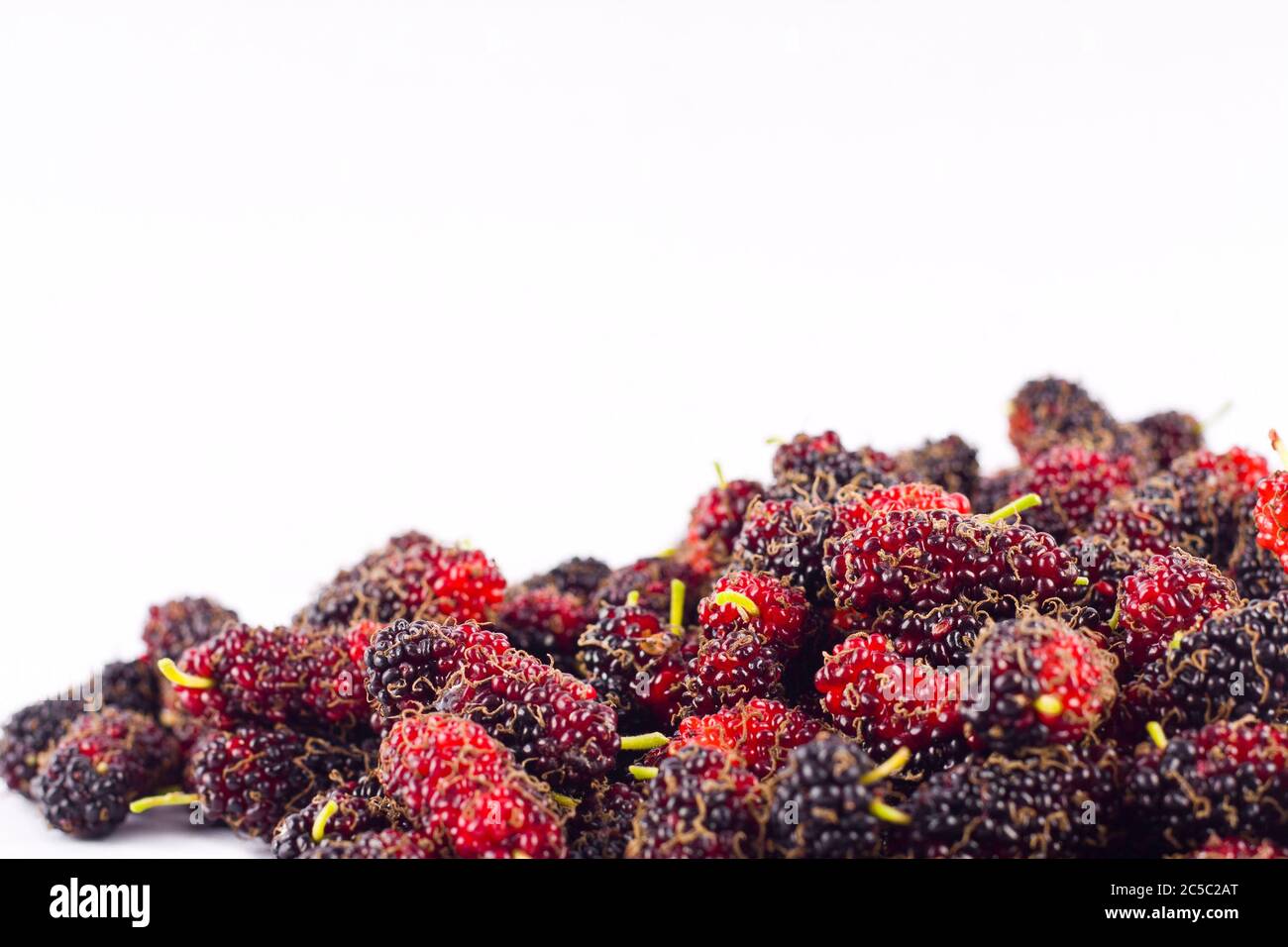 ripe mulberry fruit is a sweet and sour fruit on white background ...