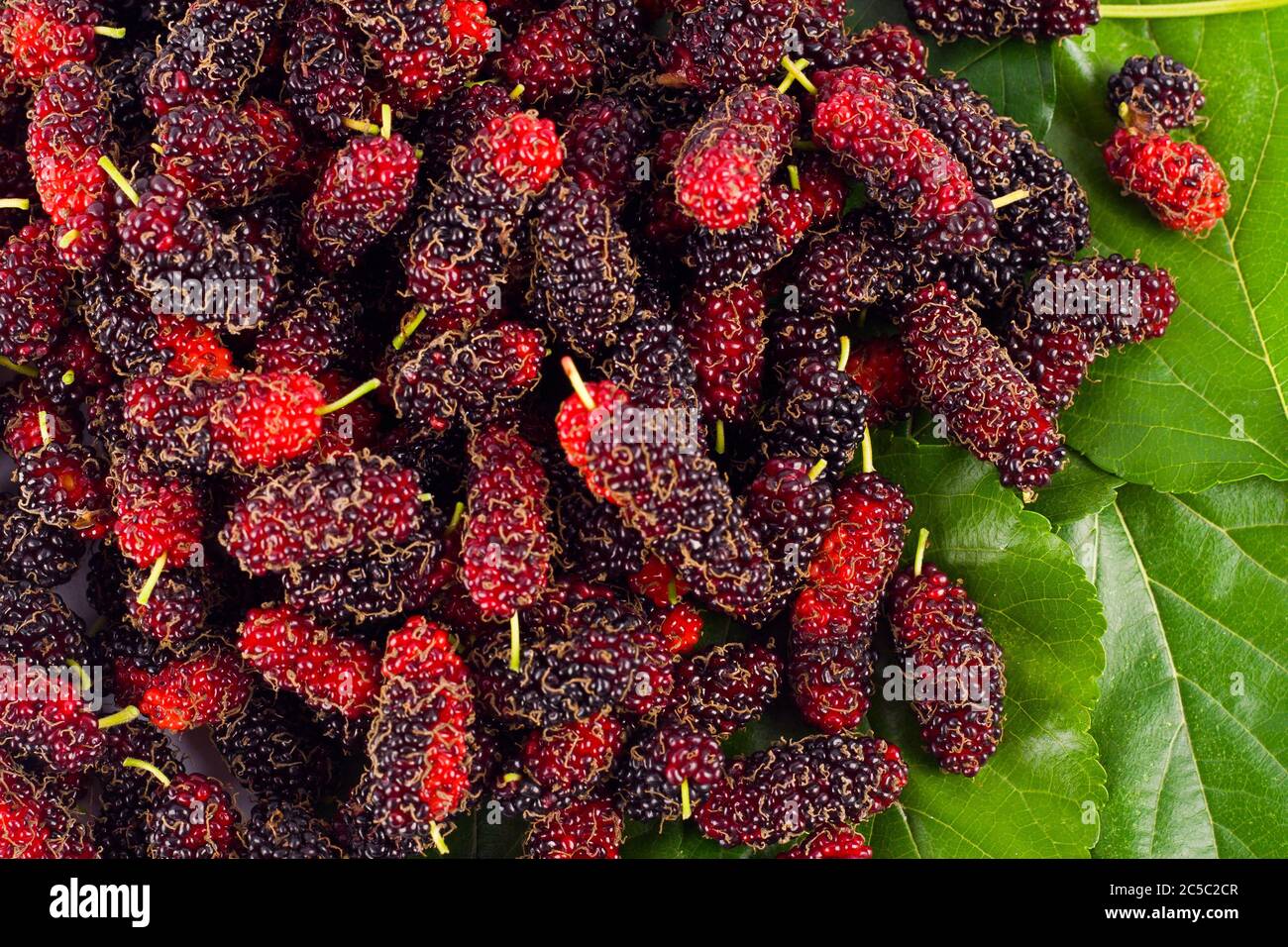 ripe mulberry fruit and green mulberry leaf on white background healthy ...