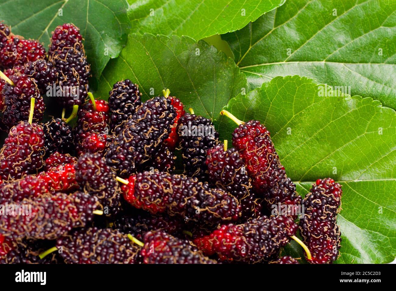 mulberry fruit and mulberry leaf on white background healthy mulberry ...
