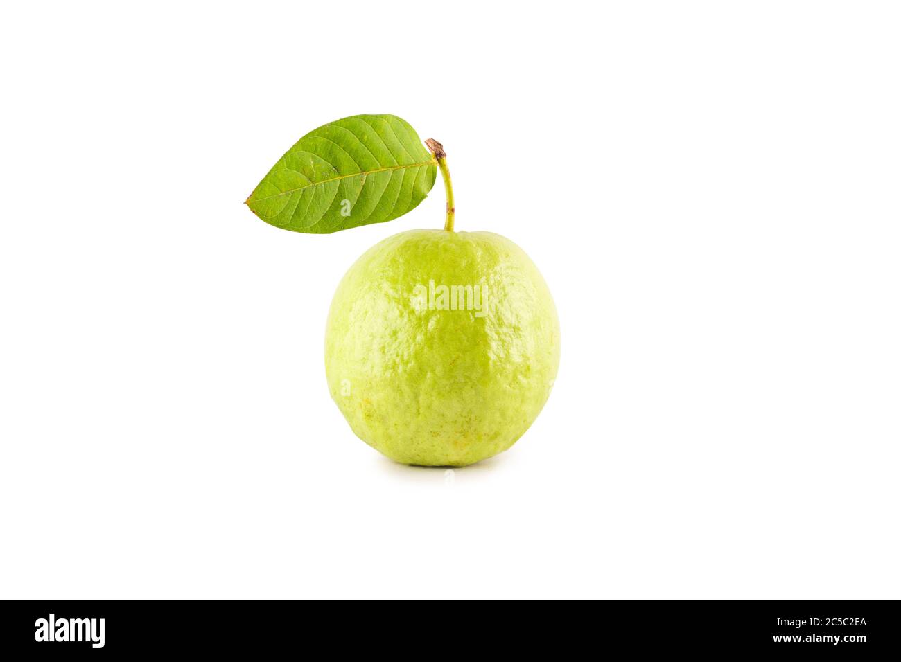 guava and guava leaf on white background fruit agriculture food ...