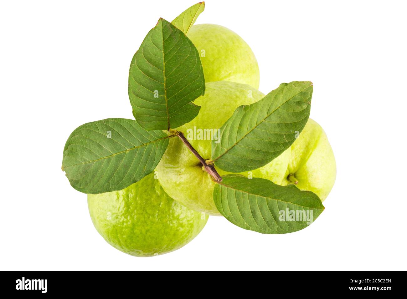 top view guava and guava leaf on white background fruit agriculture ...
