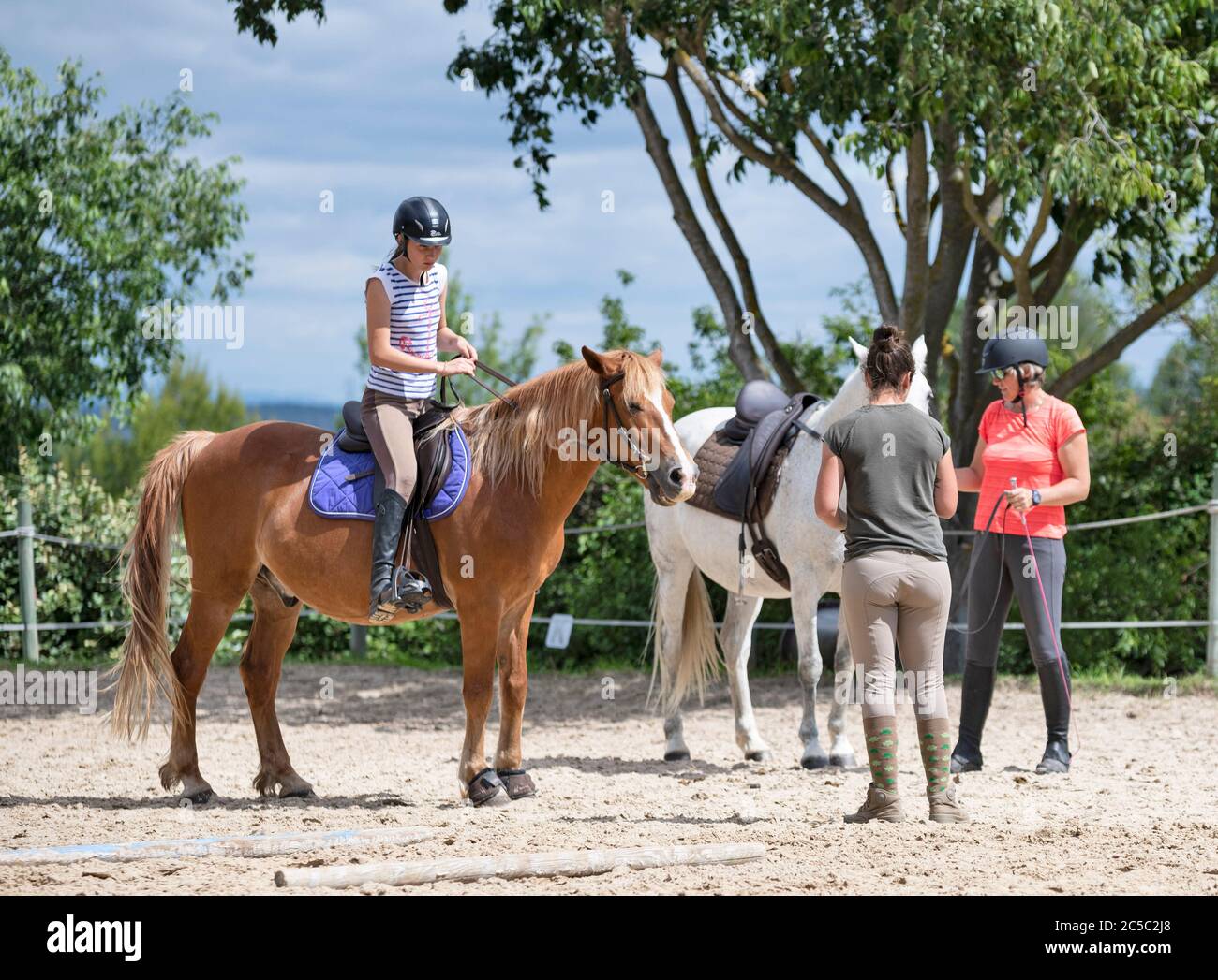 Equestrian monitor hi-res stock photography and images - Alamy