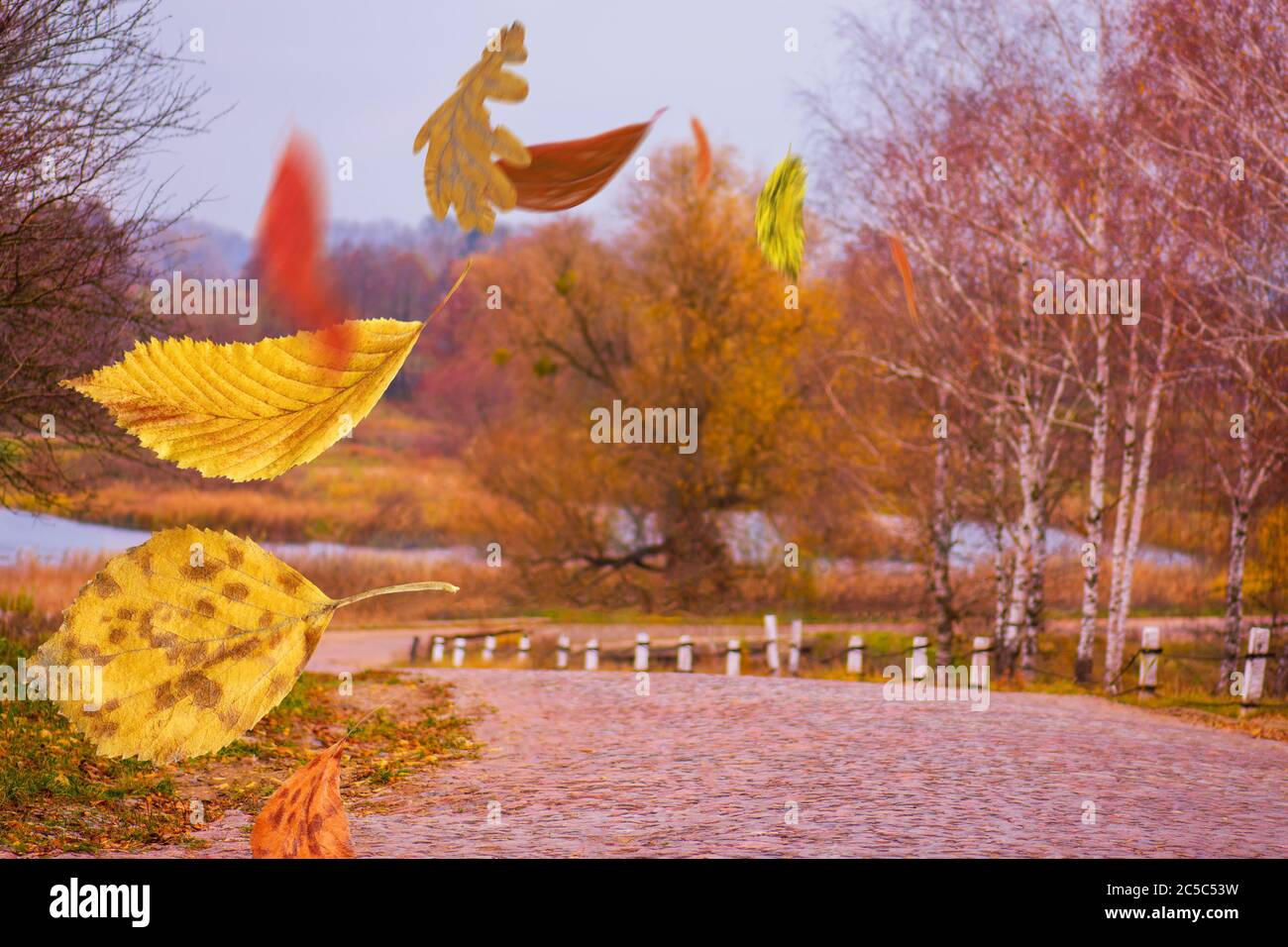 Border frame of autumn leaves falling on landscape background ...