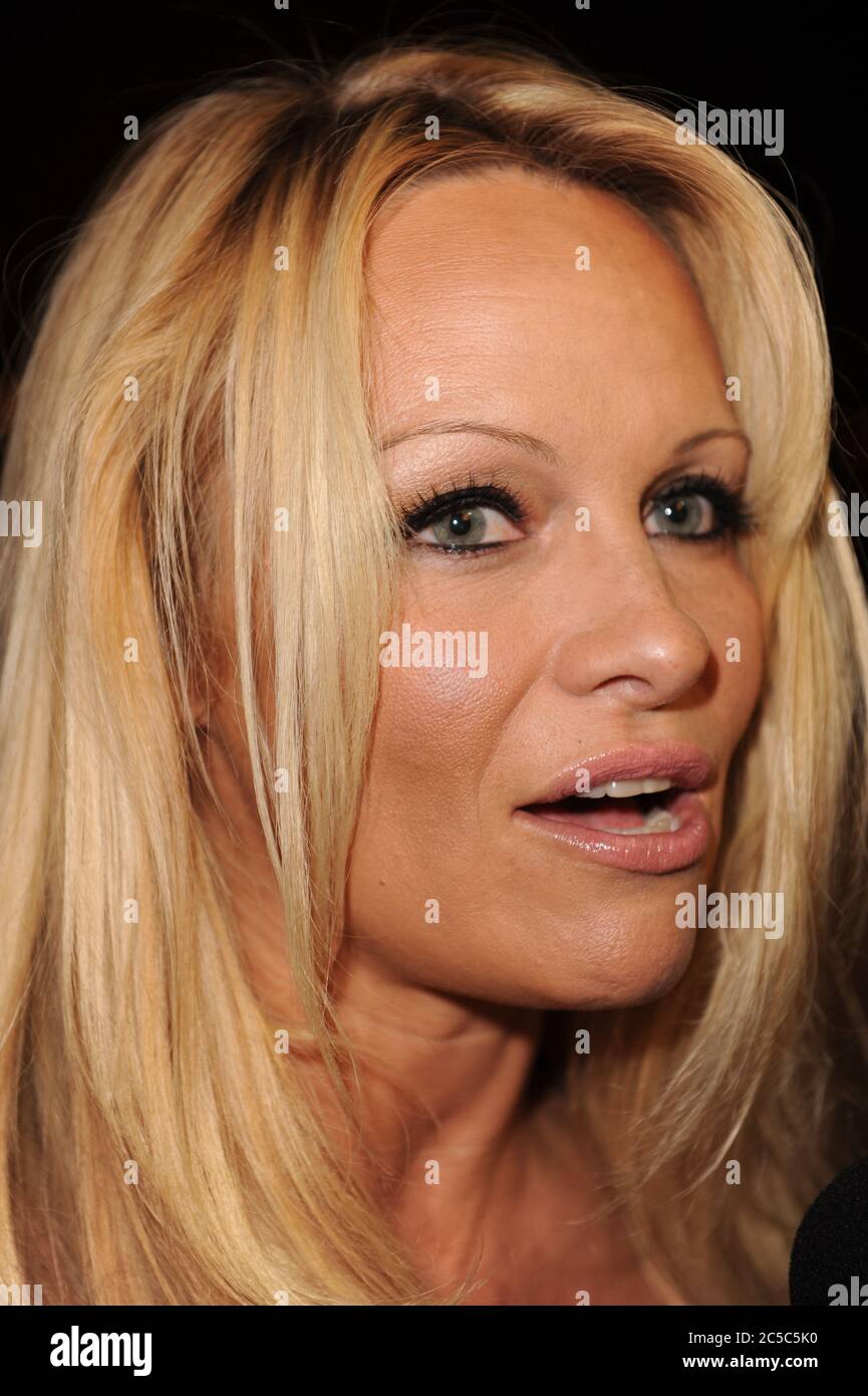 Tommy lee and pamela anderson hi-res stock photography and images - Alamy