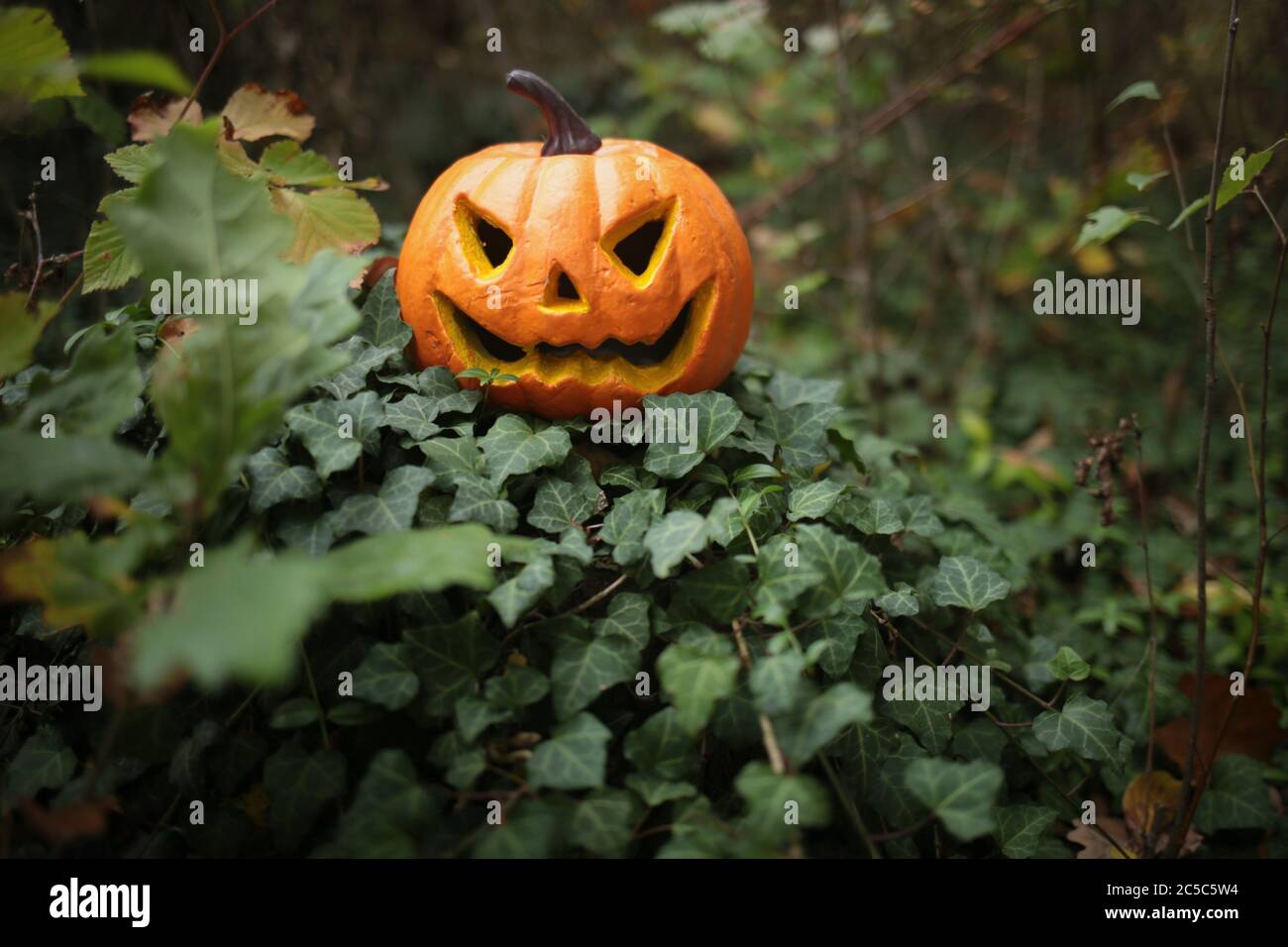 Scary blurry mysterious forest hi-res stock photography and images - Alamy