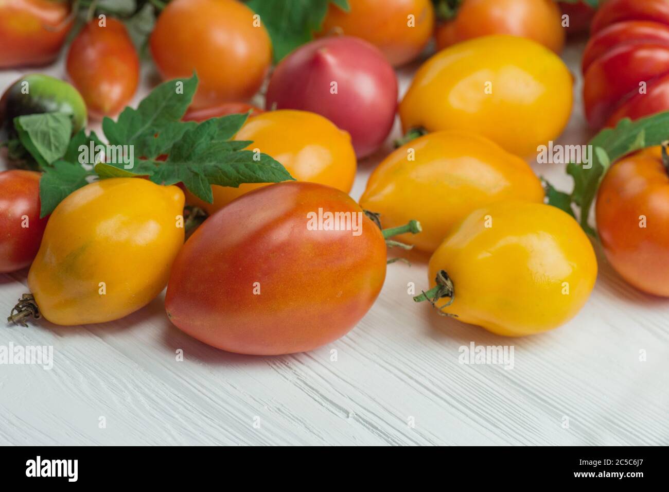 The harvest of assorted tomatoes. Variety ripe natural organic ...