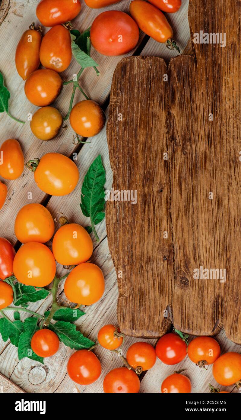 The harvest of mix tomatoes. Different colorful tomatoes. Tomatoes are ...