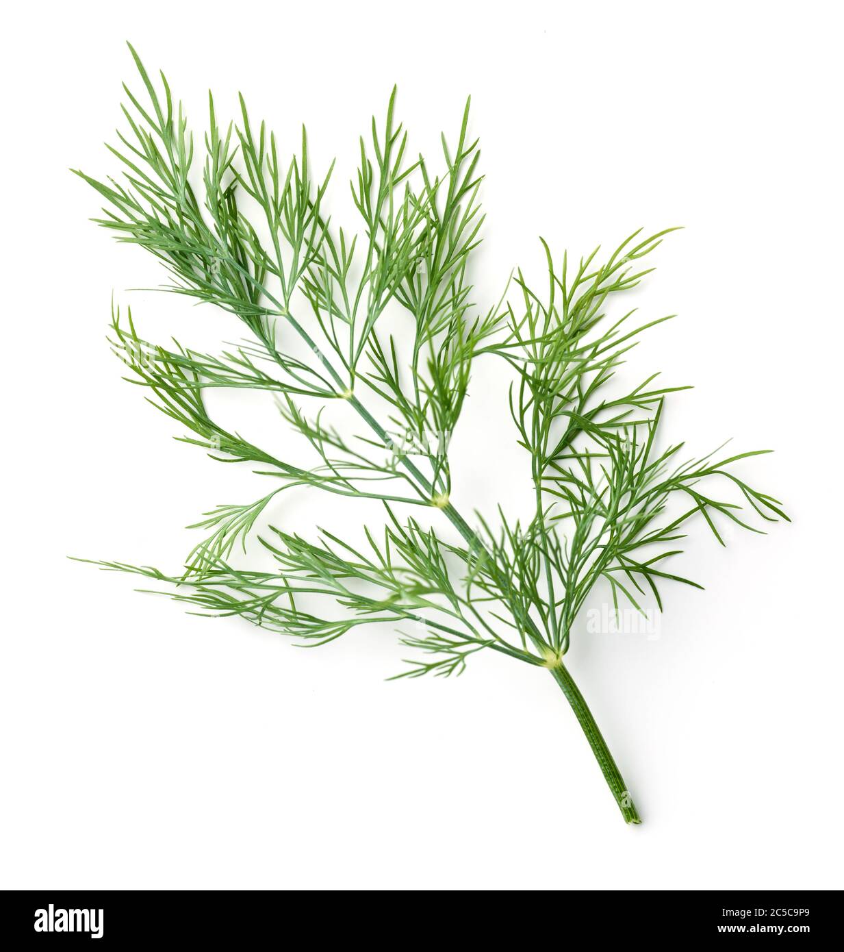 fresh dill leaves isolated on white background, top view Stock Photo ...