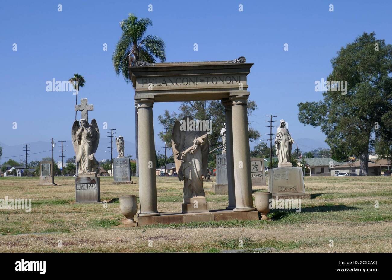 Tononi hi-res stock photography and images - Alamy