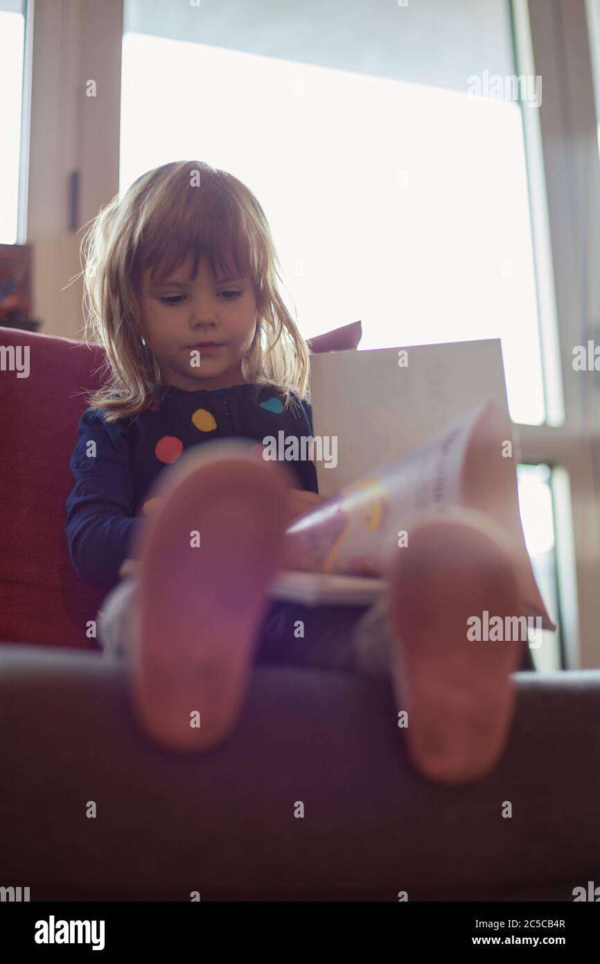 little girl reading a book on the armchair at home Stock Photo - Alamy