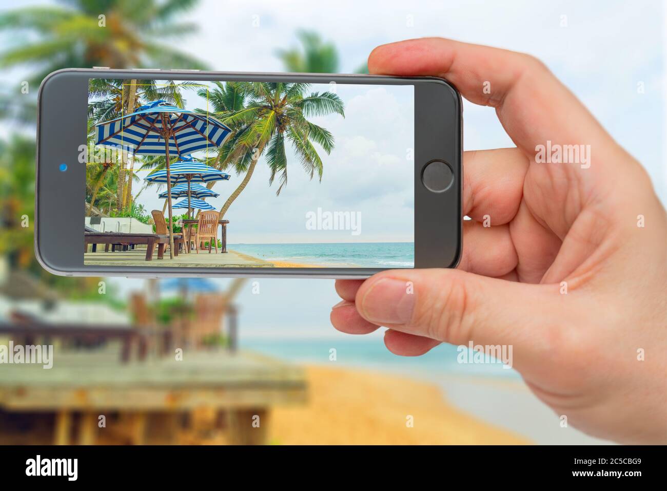 Palm trees and tents on the ocean. Photo smartphone. Smartphone in hand ...