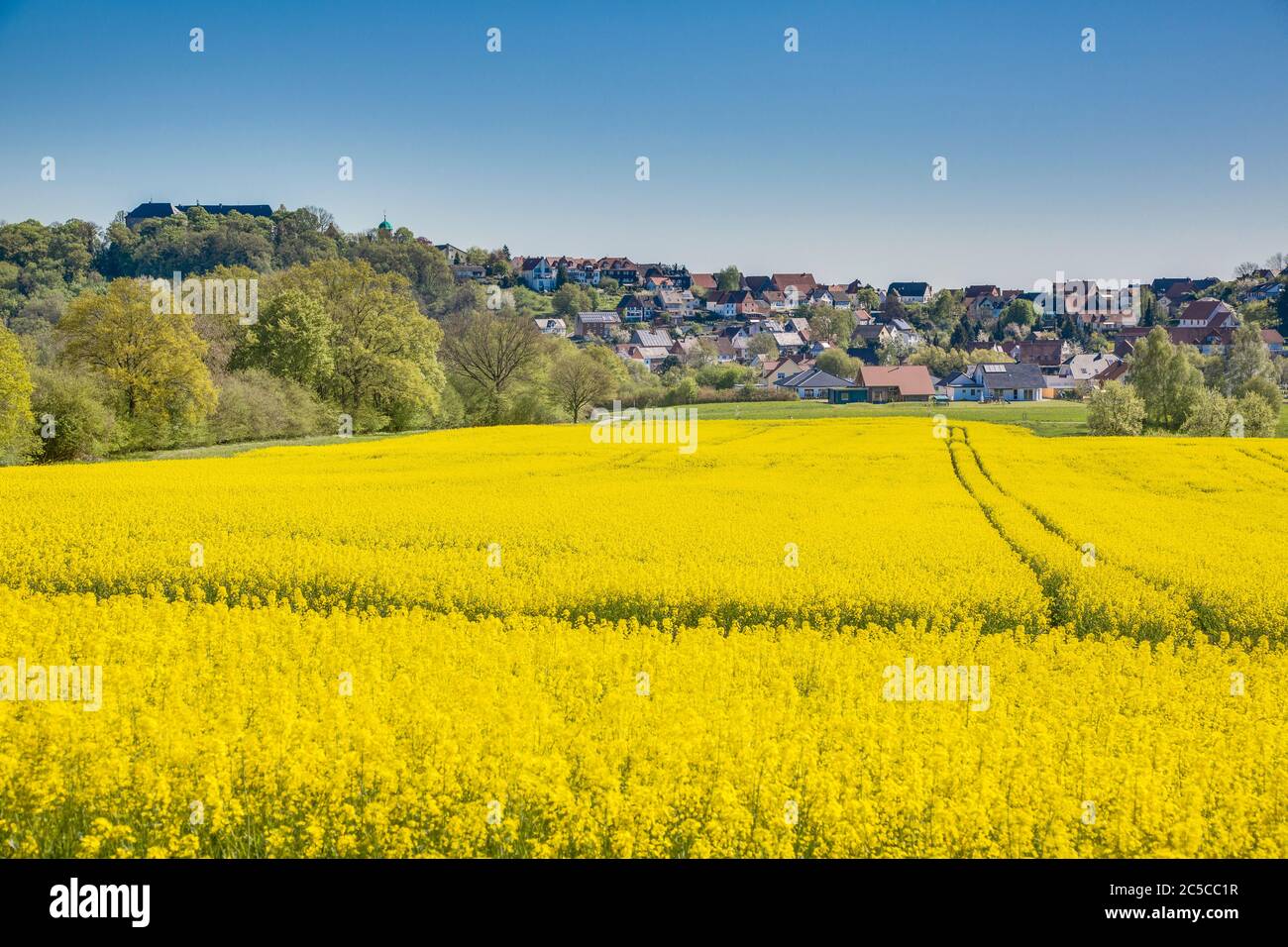 Rapeseed field germany hi-res stock photography and images - Alamy