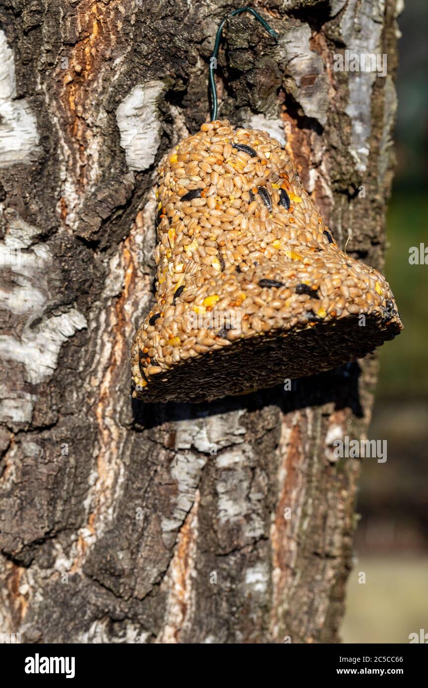 Bell from various grains, a delicacy for all the birds in the garden ...