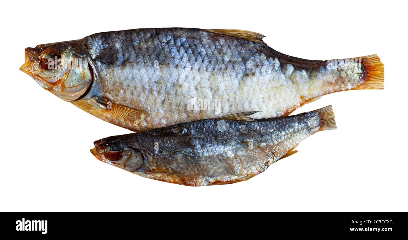 Air-dried salted roach fish, russian cuisine. Isolated over white ...