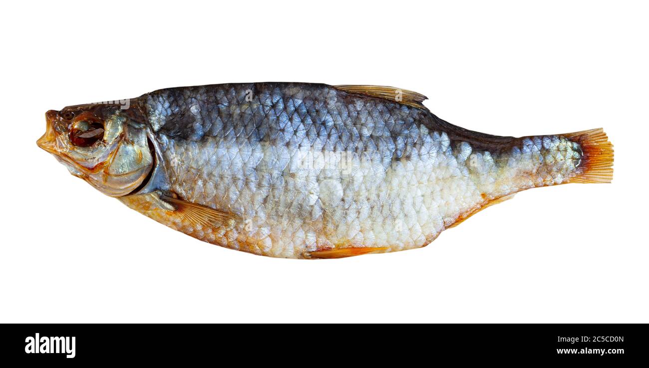 Dried salted roach fish, top view. Isolated over white background Stock ...