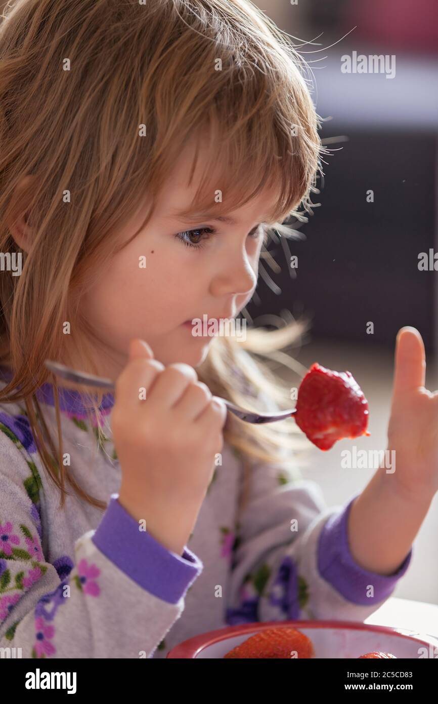 child eating strawberries after breakfast in pajamas at home Stock ...