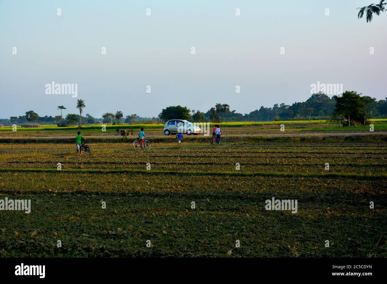 Girls female kids children field hi-res stock photography and images ...
