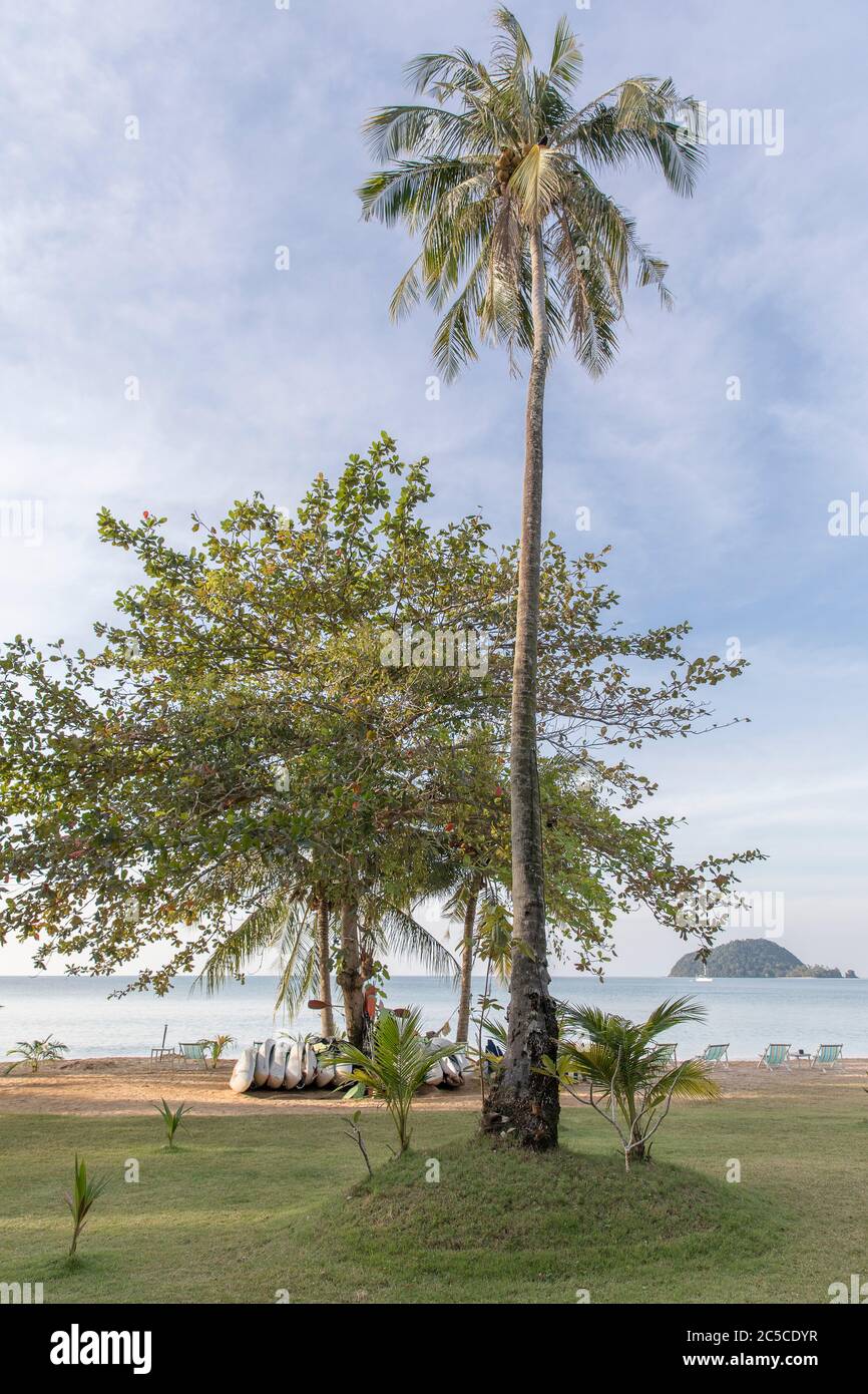 Beautiful tropical beach, Located Koh Mak Island , Thailand Stock Photo ...
