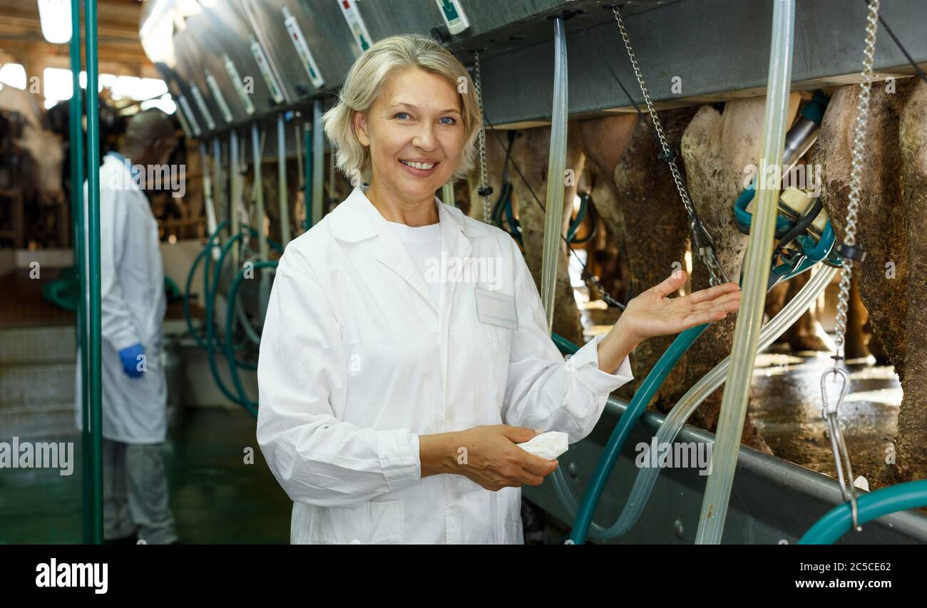 Farm milkmaid woman in bathrobe standing near automatical cow milking ...