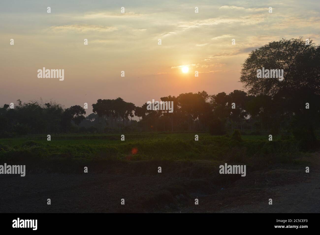 Indian village sunset silhouette hi-res stock photography and images ...