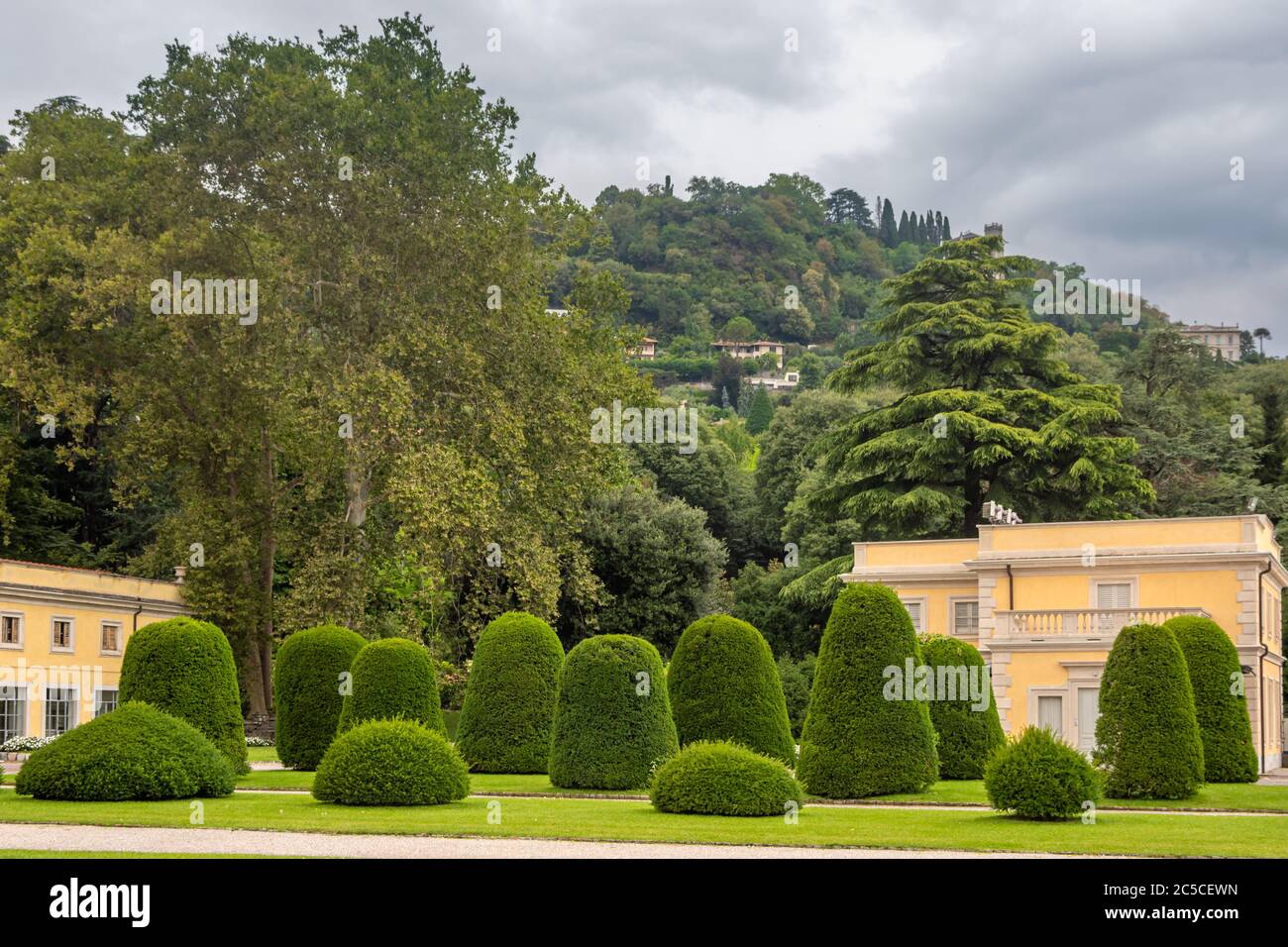View of green topiary garden. Evergreen shrubs, trimmed with different ...