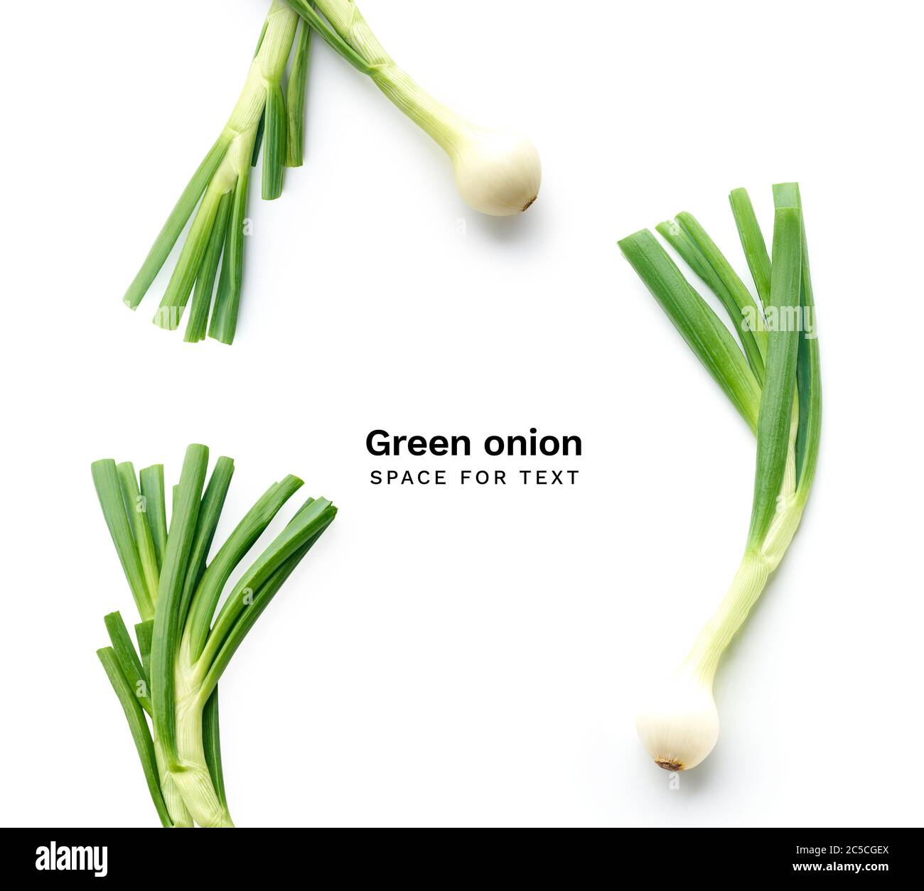 Creative layout with isolated green onion on white background with copy ...