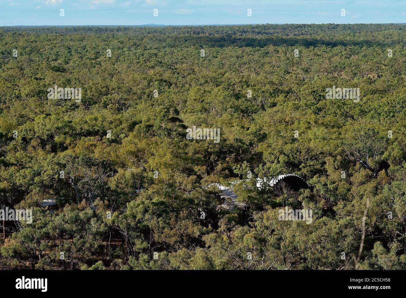 Aerial view of Undara volcanic national park in outback north ...