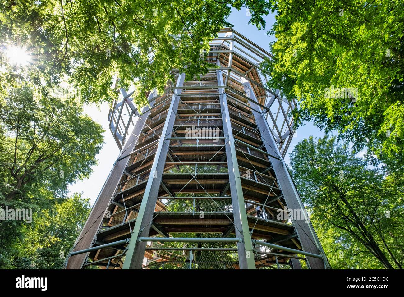 Treetop path on the island of Ruegen in Northern Germany. A tower where ...