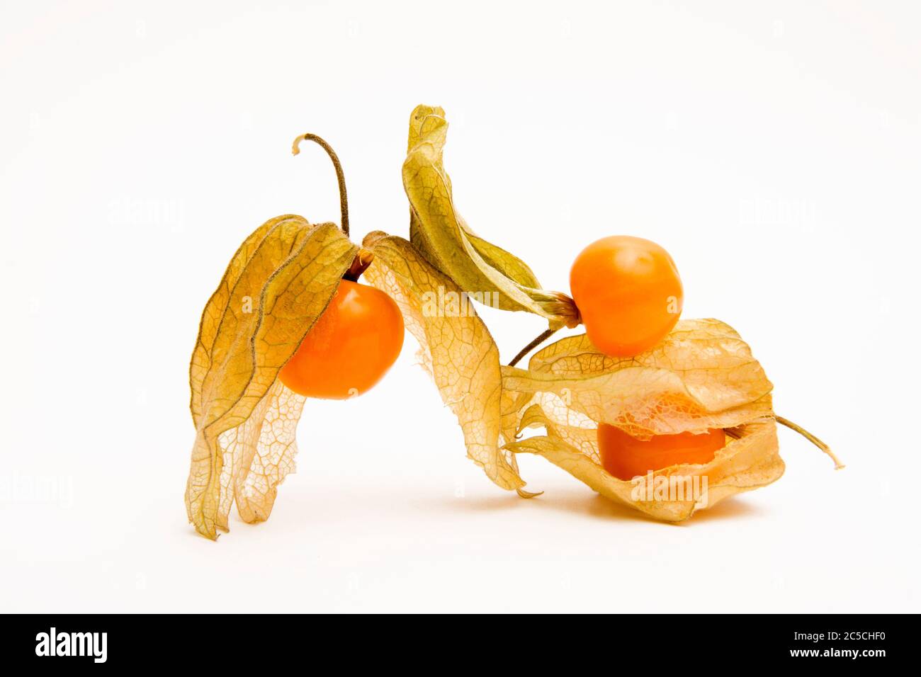 Fruit botany Cut Out Stock Images & Pictures - Alamy