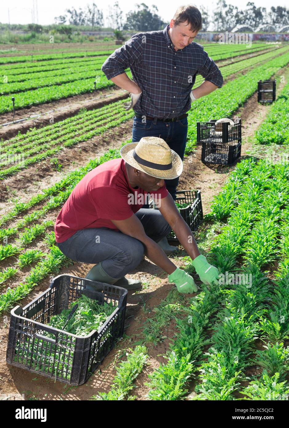 Angry farmers meeting hi-res stock photography and images - Alamy